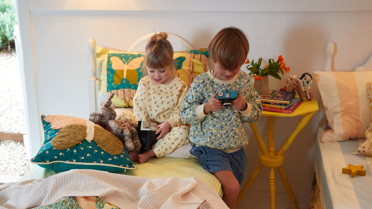 Pretty Papillion – Sage and Clare